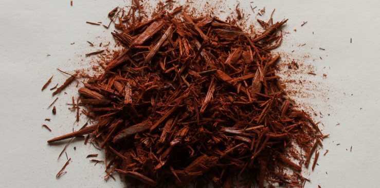 Logwood tree and Logwood dye: a natural dye also for hair
